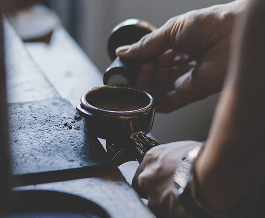 Coffee Bean Anatomy: 101 | Stone Street Coffee